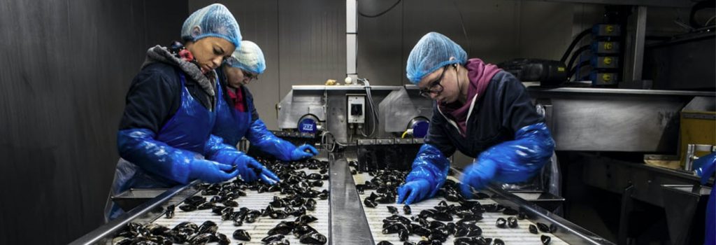 Reducing Labour – Meat Processing Consultants